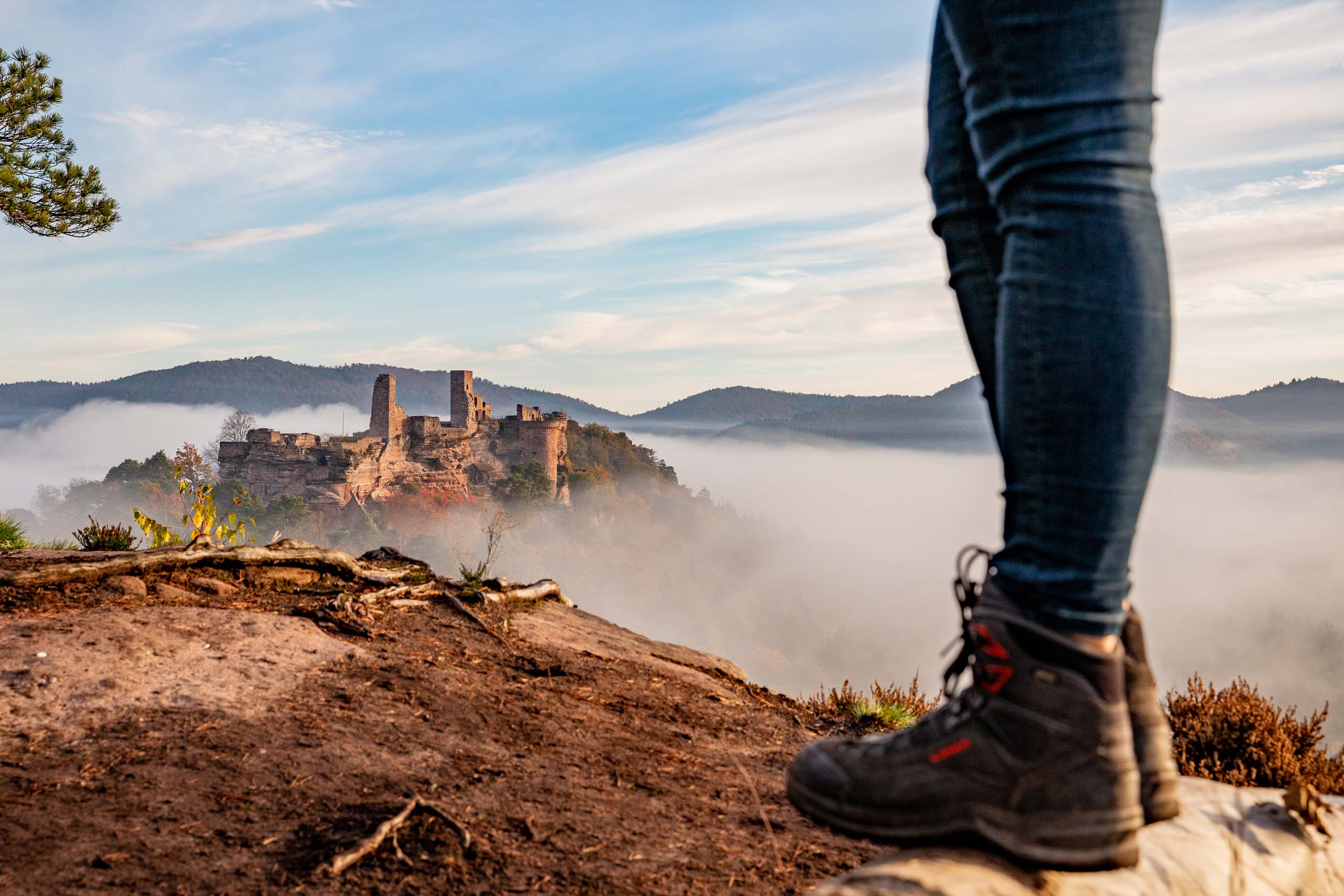 Castles in the Dahn Rockland